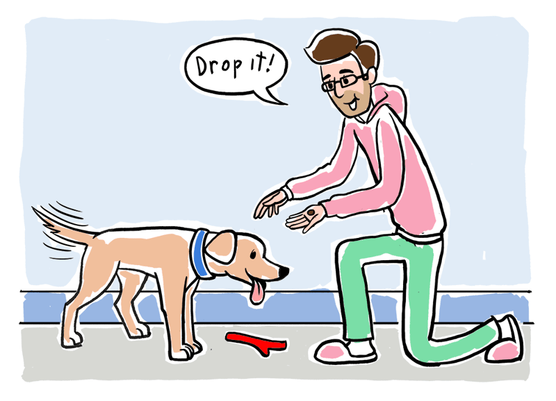 Teaching Your Dog to Play Fetch (and Bring the Ball Back) Teaching Your Dog to Play Fetch (and Bring the Ball Back)